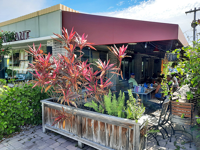 The outdoor patio—where Florida's natural beauty meets Howley's culinary artistry under the shade of vibrant tropical plants.