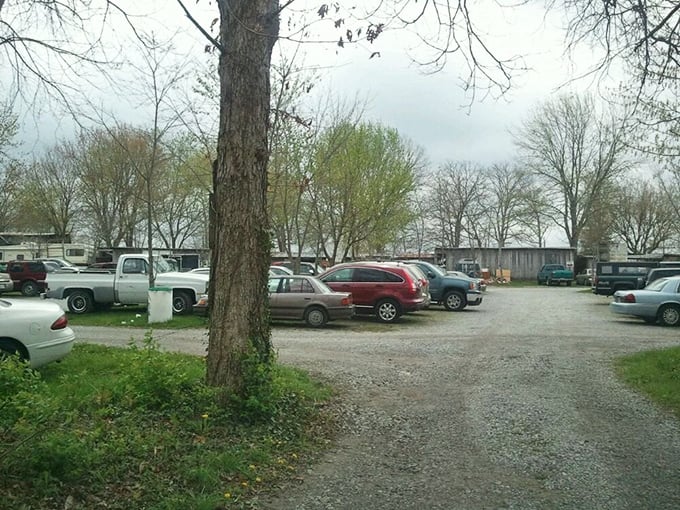 The parking lot fills early with trucks and determination – serious treasure hunters know timing is everything.