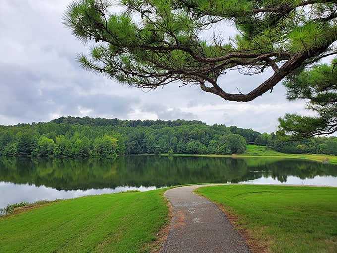 A gently curving path invites exploration along the lake's edge, no GPS required – just follow where your curiosity leads.