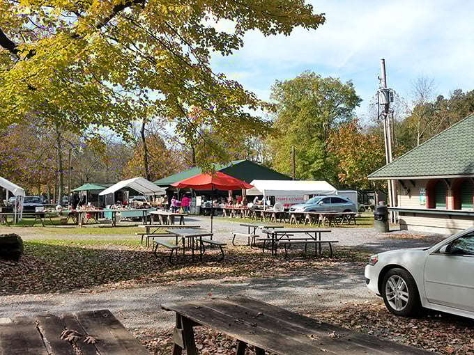 Autumn leaves provide nature's confetti for this picnic area, where treasure hunters refuel before diving back into the antique fray. 