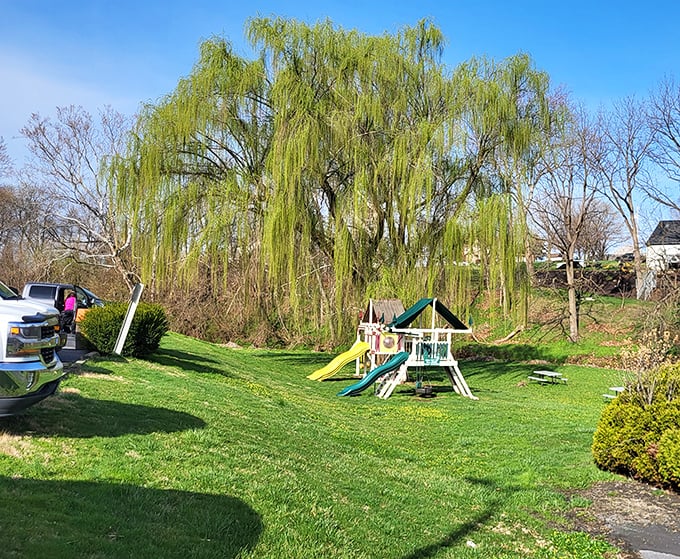 A thoughtful playground area means parents can enjoy their meal while kids burn off energy under the watchful branches of a weeping willow.