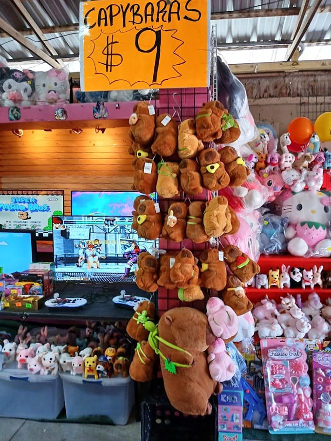 Plush capybaras for just $9? This wall of cuddly creatures offers childhood joy at prices that won't give parents stuffed-animal sticker shock.