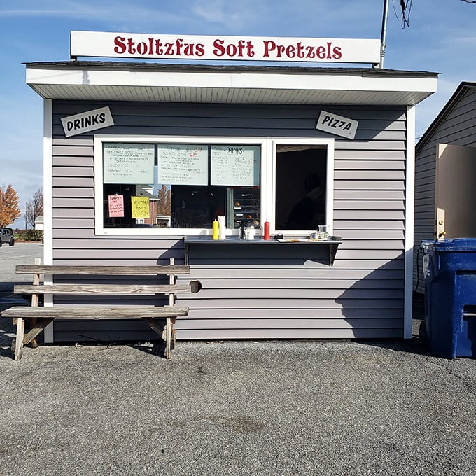 Stoltzfus Soft Pretzels—where carb dreams come true. This unassuming stand houses Pennsylvania's perfect combination of salt, dough, and tradition.