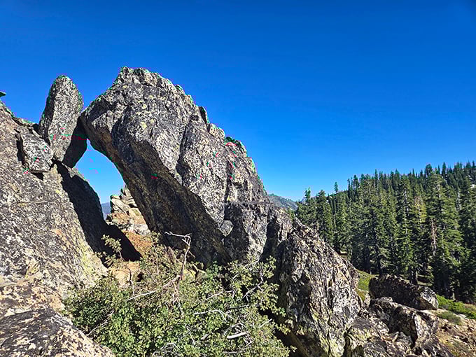 Nature's sculpture garden doesn't charge admission. These granite formations have been perfecting their poses for millions of years.