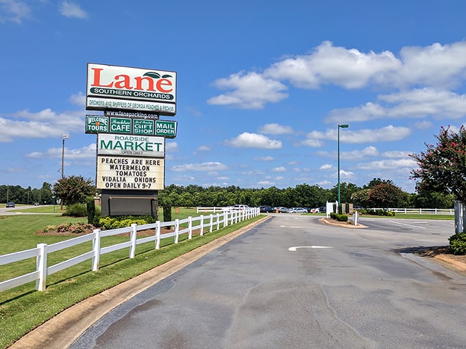 The roadside beacon that's saved many a hungry traveler. This sign doesn't just advertise peaches—it promises happiness.