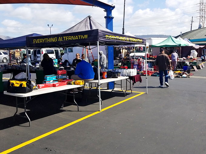 "Everything Alternative" indeed. This stall embodies the flea market spirit—where one person's random collection becomes another's perfect find.