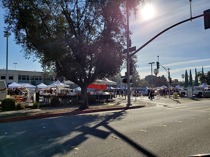 Morning market magic! Early shoppers navigate the maze of white tents, where California sunshine illuminates treasures waiting to be discovered.