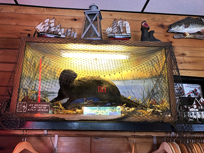 The taxidermied black otter display—because what's a Wisconsin supper club without a little local wildlife decor?