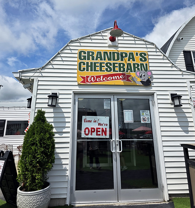 Not just a storefront—a portal to pleasure. That cartoon mouse knows exactly what you're in for: a cheese adventure of epic proportions.