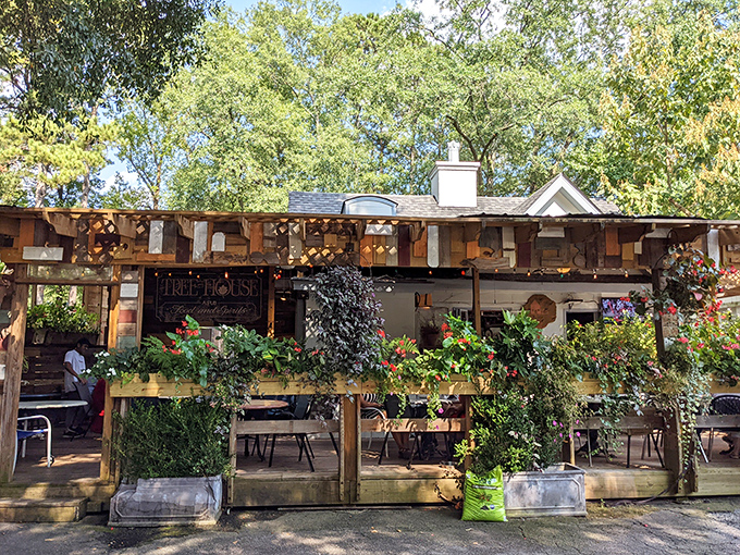 Nature doesn't just surround this place—it's practically part of the architecture. Those hanging plants are both decoration and dining companions.
