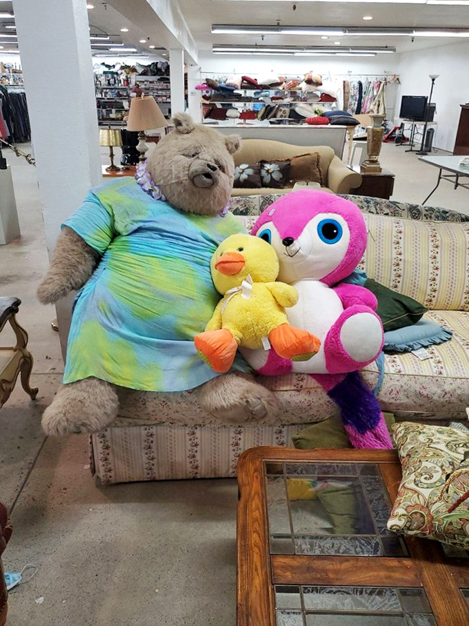 Stuffed animals enjoying their retirement on a floral couch – proof that even teddy bears deserve a Florida-style vacation.