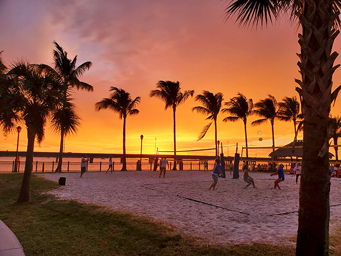 Sunset volleyball under swaying palms—the kind of evening entertainment that makes you wonder why anyone pays for streaming services.