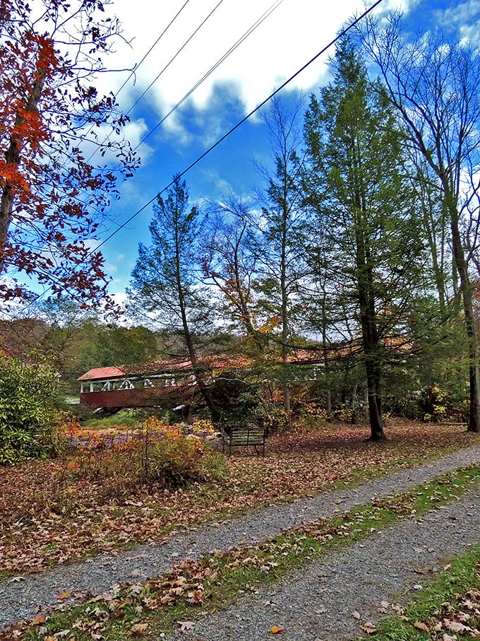 A gravel path leads visitors toward the historic treasure. Those fallen leaves aren't just decoration—they're nature's red carpet treatment.