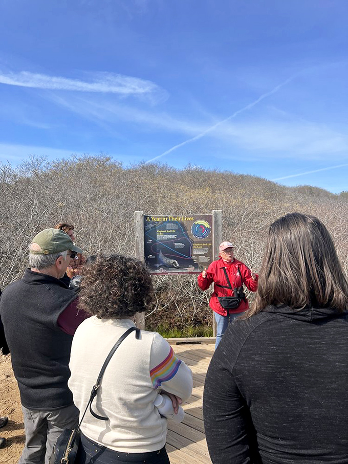 Docents sharing nature's secrets with visitors—like getting the director's commentary on Mother Nature's greatest production.