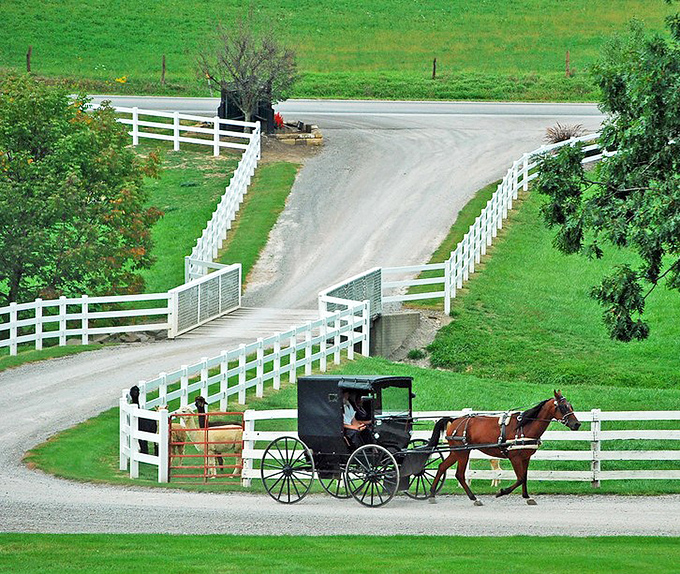 Horse-drawn buggies aren't tourist attractions but daily transportation – a reminder that some of the best journeys happen at four miles per hour.
