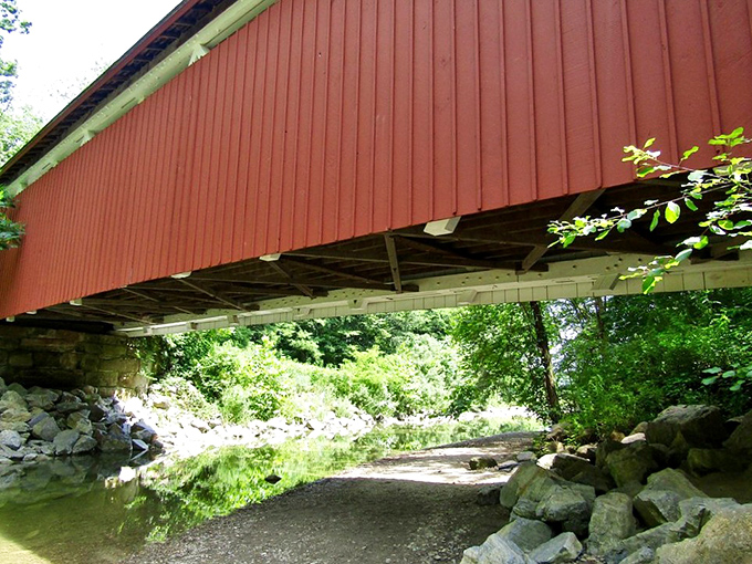 The view from below reveals the bridge's sturdy foundation. Like seeing a celebrity without makeup—still impressive, just from a different angle.