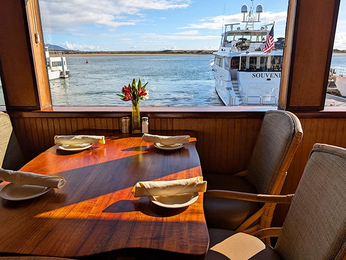 Harbor views stretch endlessly, providing dinner theater where boats and seals perform daily maritime entertainment shows.