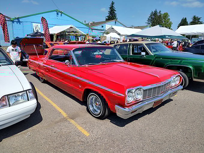 Classic cars frozen in time, each one a four-wheeled story waiting for its next chapter.