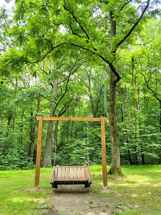 This rustic swing invites you to channel your inner child. The forest's version of a time machine to simpler days.
