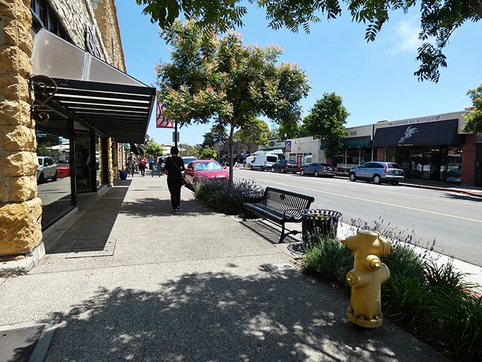 This street in Arroyo Grande has more character in one block than most suburban neighborhoods have in a mile.