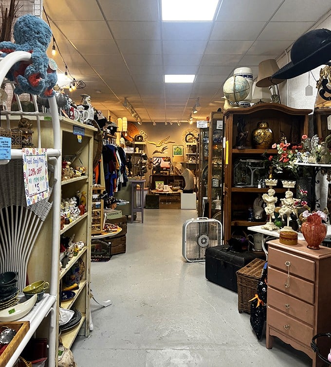 This corridor of curiosities stretches into the distance like a portal to simpler times. That box fan isn't just cooling the air—it's circulating nostalgia.