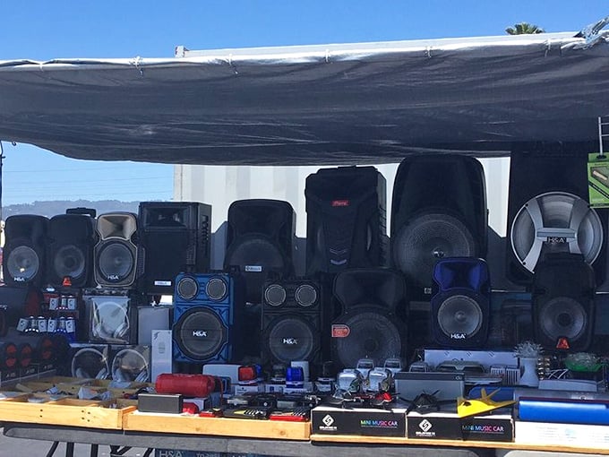 The speaker selection that turns every day into a block party—perfect for those who believe music should be felt as much as heard.
