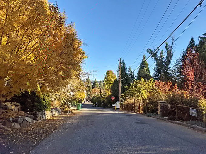 Fall paints Nevada City's residential streets with a palette that would make any artist swoon. Even the quiet neighborhoods here are postcard-perfect.