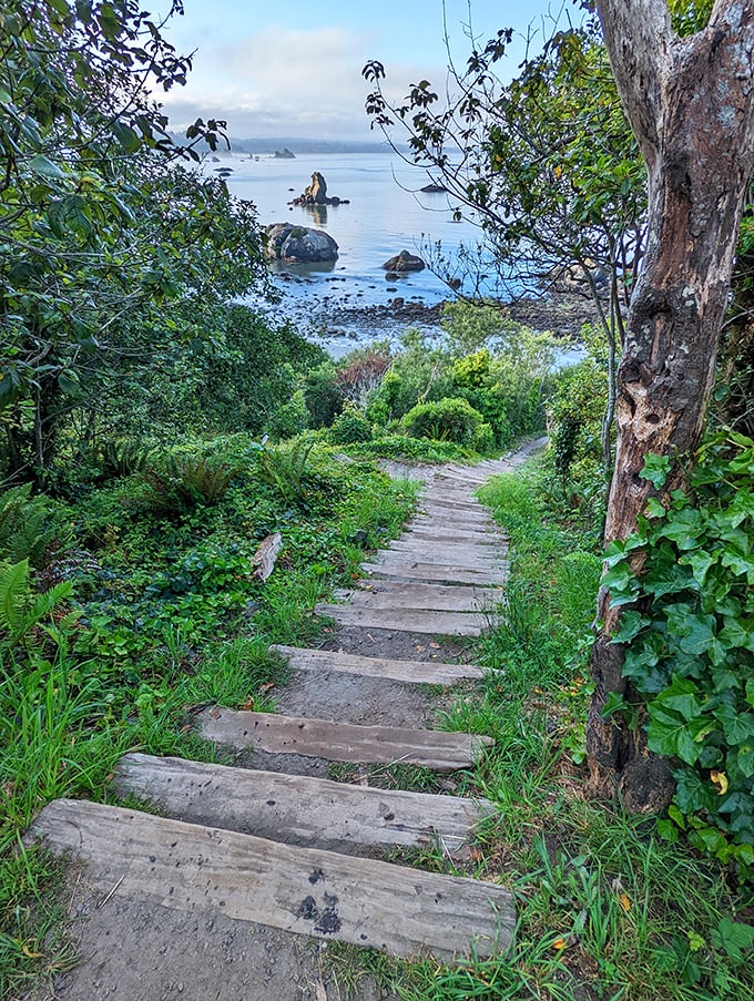 The Axel Lindgren Memorial Trail leads you through a green tunnel to blue infinity. Some paths are destinations themselves.