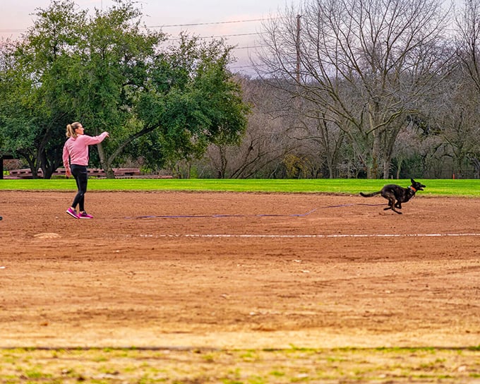 Local parks provide the perfect stage for the timeless dance between human and canine—one throws, one fetches, both secretly hoping this never ends.