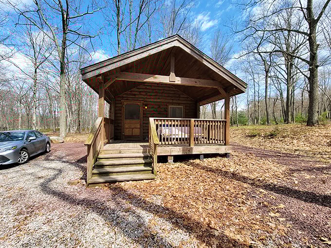 Rustic cabins offer shelter without sacrificing wilderness immersion. Fall asleep to cricket symphonies and wake to birdsong alarm clocks.