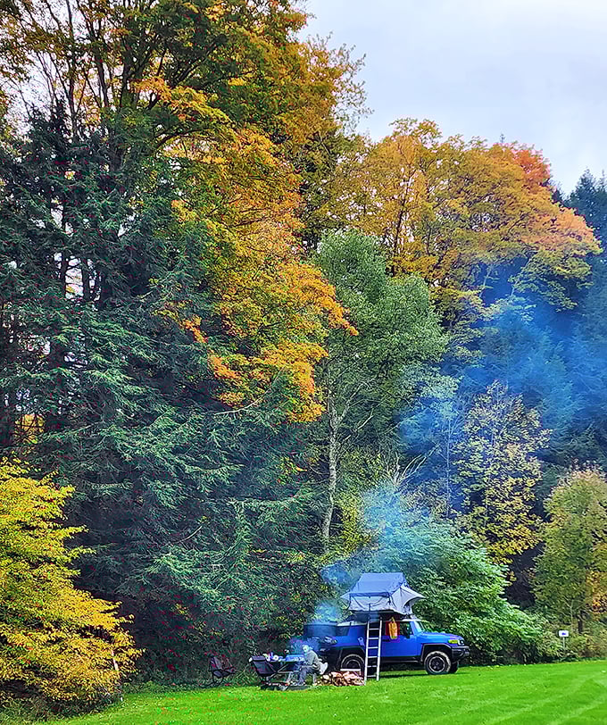 Camping beneath fall's golden canopy, with smoke curling through technicolor leaves—this is why glamping was invented for those who hate roughing it.