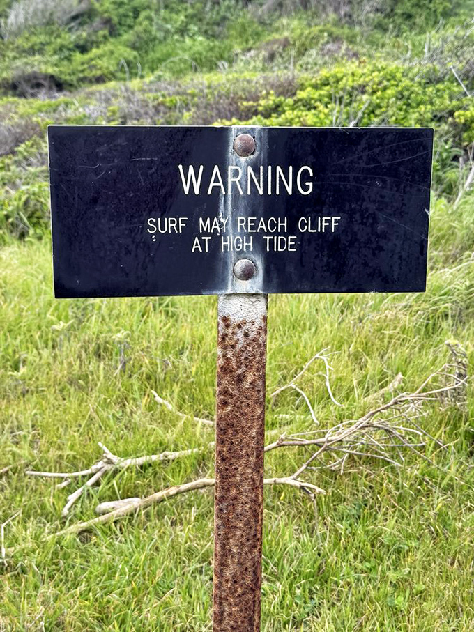 Nature's subtle hint that the Pacific Ocean doesn't always respect boundaries – high tide transforms these beaches into temporary no-go zones.