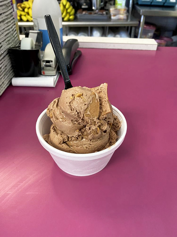 This chocolate peanut butter scoop isn't playing around—it's the kind of serious dessert commitment that requires both a spoon and a moment of silence.
