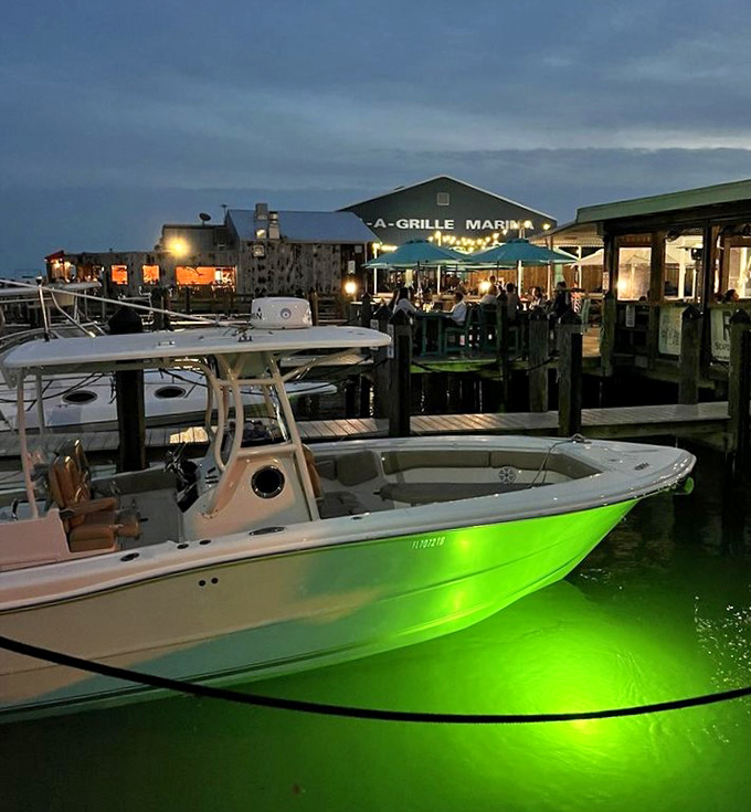 As night falls, the marina transforms into a twinkling wonderland where boats glow like aquatic fireflies. Dinner and a show, Florida-style.