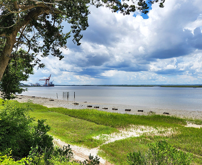 Fernandina Plaza Historic State Park provides a serene waterfront vista where shipping channels meet wilderness—industrial poetry that even Whitman would appreciate.