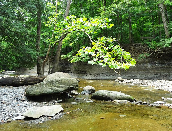The quiet aftermath – downstream from the dramatic falls, Brandywine Creek finds its gentle rhythm again, inviting contemplation among the stones.