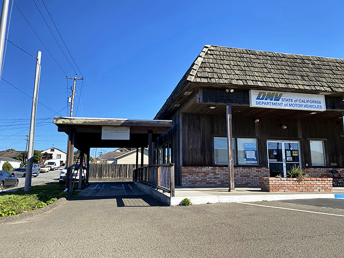 Even Fort Bragg's DMV has rustic charm—possibly the only place in California where renewing your license feels like visiting a national park ranger station.