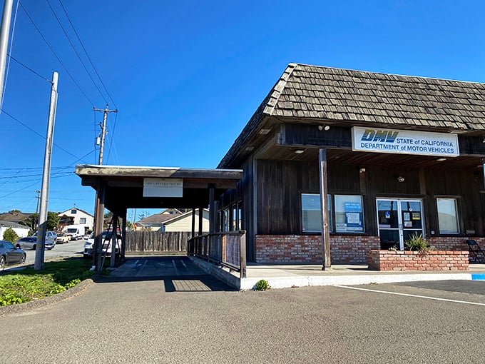 Even Fort Bragg's DMV has rustic charm—possibly the only place in California where renewing your license feels like visiting a national park ranger station.