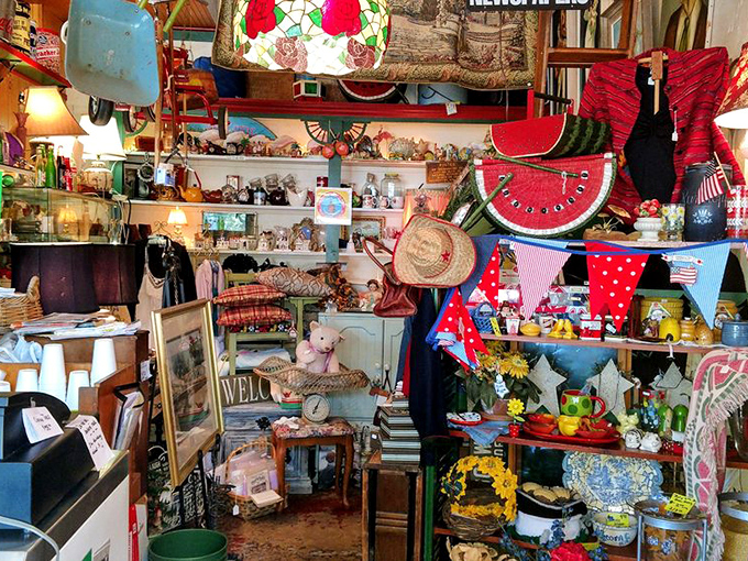 One person's antique shop is another's treasure hunt – Micanopy knows how to multitask.