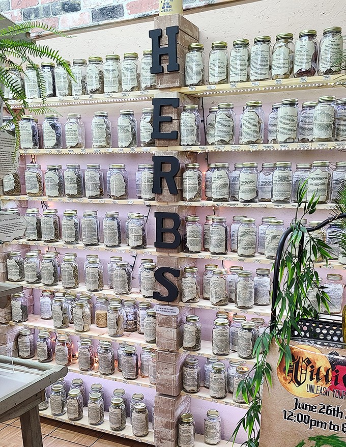 The wall of wellness—dozens of herb-filled mason jars creating a fragrant pharmacy of natural remedies and culinary possibilities.
