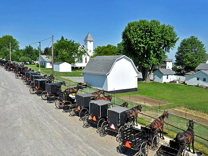 Sunday parking, Amish-style. Each buggy represents a family carrying centuries of tradition into our frantically-paced modern world. 