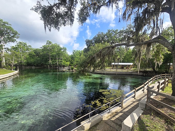Hunter Springs Park delivers that perfect Florida postcard moment—crystal clear water, graceful cypress trees, and not a single souvenir shop in sight.