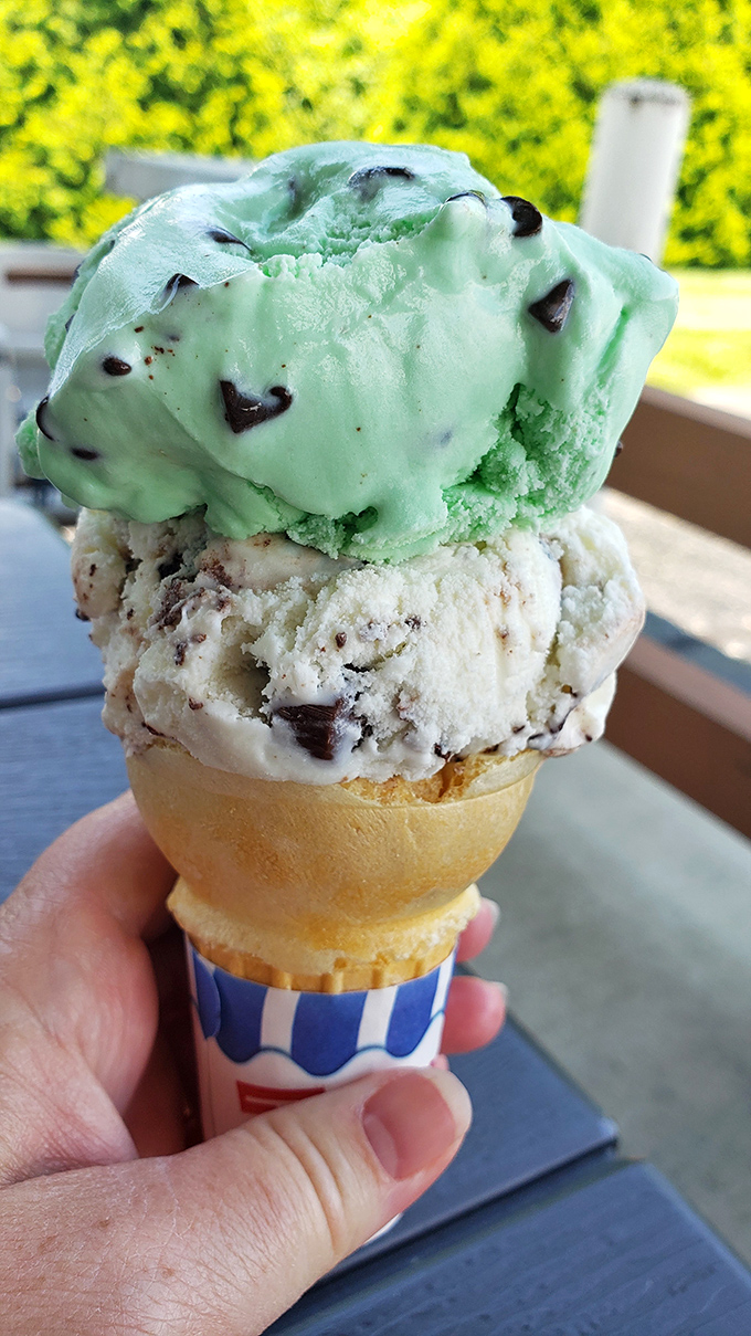 Mint chocolate chip perched atop cookie chunks—proof that dessert shouldn't be complicated to be spectacular. Summer in Ohio, perfectly captured.