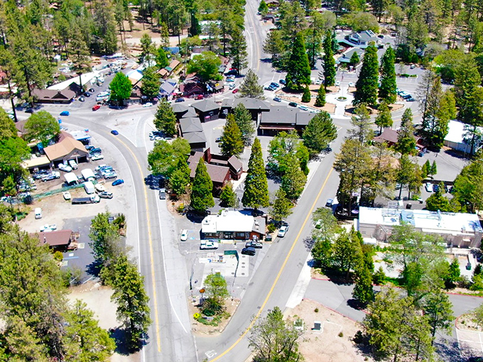 An aerial view that explains why Idyllwild feels like a secret – nestled among pines and perfectly hidden from the hustle below. Nature's version of social distancing.