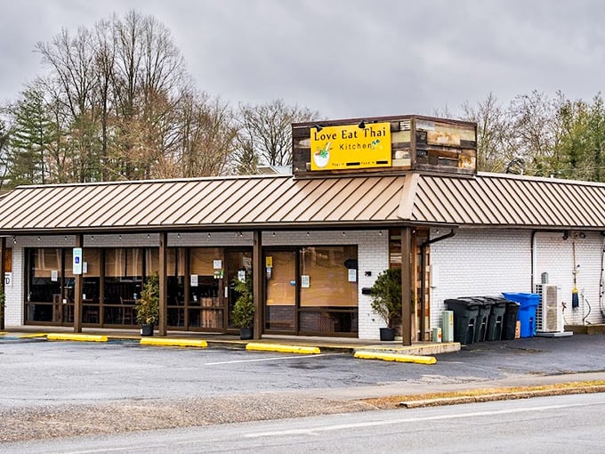 Love Eat Thai Kitchen brings unexpected culinary diversity to small-town America, proving good food knows no geographic boundaries – even in Appalachia.