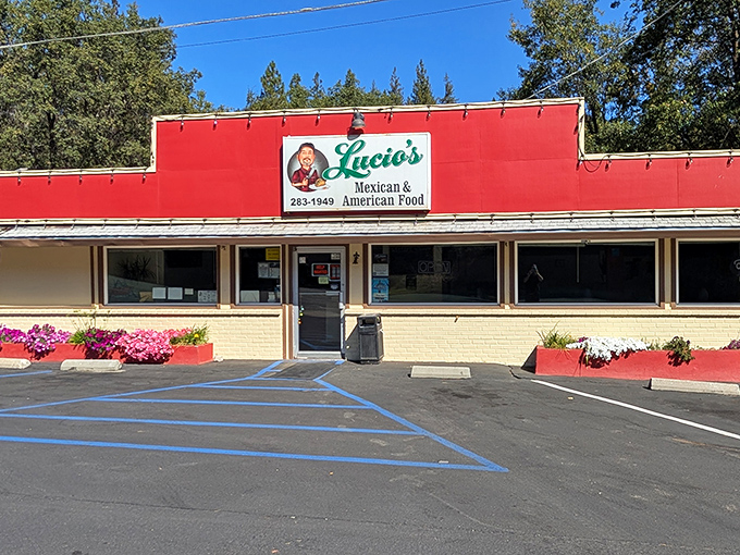 Lucio's vibrant exterior promises what every great local Mexican spot delivers—food that's been perfected through generations rather than focus groups.