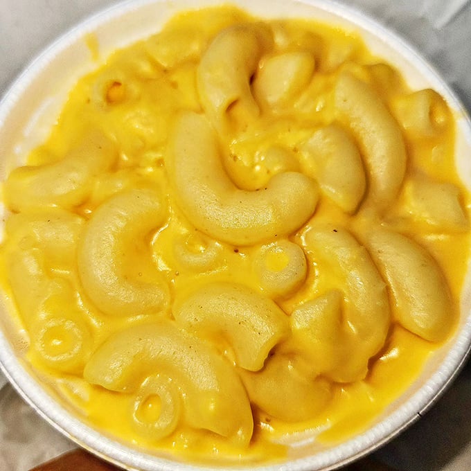 Mac and cheese that doesn't know it's a side dish. This creamy, golden masterpiece demands equal billing with the smoked stars of the show.