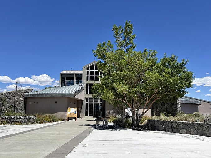 The Mono Basin Visitor Center's modern architecture mirrors the dramatic landscape it celebrates – a temple to geology that's actually worth visiting.
