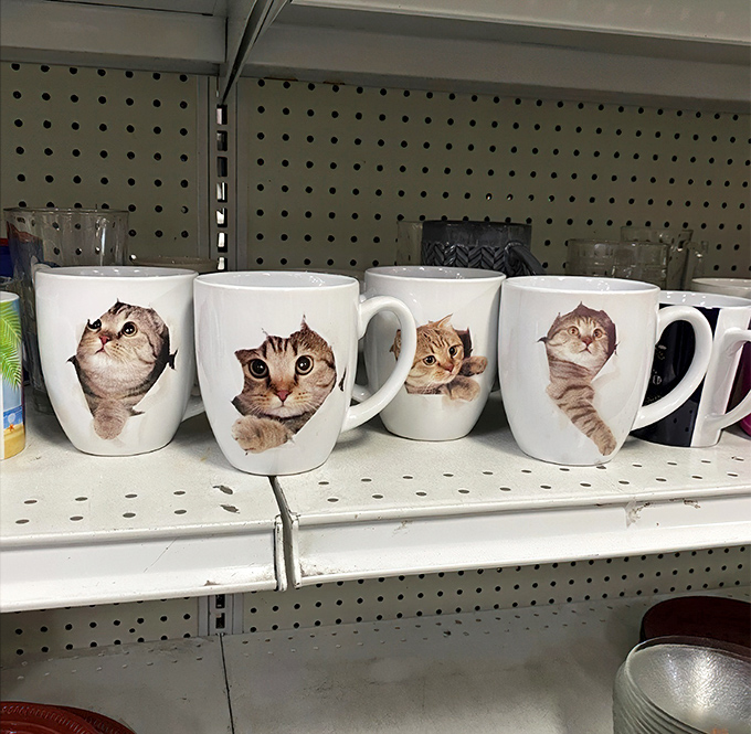 These feline mugs are the ultimate thrift store triumph. Someone's impulse purchase becomes your morning coffee's new best friend—quirky, charming, and impossible to resist.