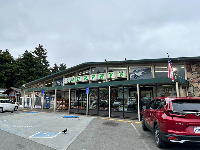 Every small town needs its gathering spot. Murphy's Market combines grocery essentials with the friendly vibe of a place where everybody knows your name.